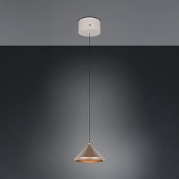 Trio Leuchten Laguna Pendelleuchte 1-flammig, LED, 336210165,