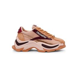 Steve Madden Sneakers in Beige - 53% | Gr&ouml;&szlig;e 41 | Damen-sneakers
