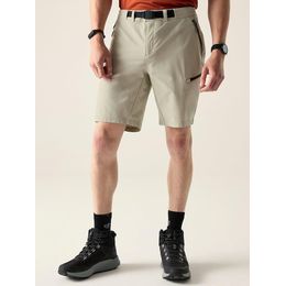 Dare 2b Trekkingshorts "Tuned In Pro II" in Beige - 68% | Gr&ouml;&szlig;e 56 | Herren-outdoorhosen
