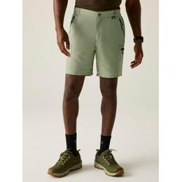 Regatta Funktionsshorts "Leesville" in Beige - 65% | Gr&ouml;&szlig;e 50 | Herren-outdoorhosen