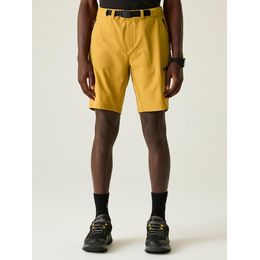 Dare 2b Trekkingshorts "Tuned In Pro II" in Gelb - 67% | Gr&ouml;&szlig;e 48 | Herren-outdoorhosen