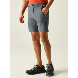 Regatta Funktionsshorts "Xert Stretch" in Grau - 73% | Gr&ouml;&szlig;e 54 | Herren-outdoorhosen