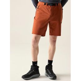 Dare 2b Trekkingshorts "Tuned In Pro II" in Terrakotta - 68% | Gr&ouml;&szlig;e 56 | Herren-outdoorhosen