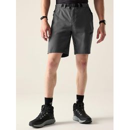 Dare 2b Trekkingshorts "Tuned In Pro II" in Grau - 70% | Gr&ouml;&szlig;e 58 | Herren-outdoorhosen