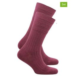 Norfolk 2er-Set: Trekkingsocken "Joseph" in Bordeaux - 33% | Gr&ouml;&szlig;e 39-42 | Damen-outdoor-ausruestung