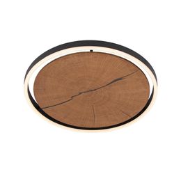 Waldwelt Led-Deckenleuchte Hirnholz, Eiche, Holz, Metall, furniert, rund,rund, warmwei&szlig;, 5 cm, Lampen & Leuchten, Innenbeleuchtung, Leuchten nach R&auml;umen, Schlafzimmerlampen