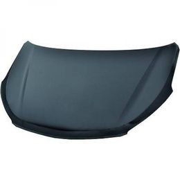 DIEDERICHS Motorhaube 6872000 f&uuml;r HYUNDAI
