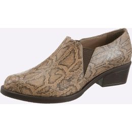 Stiefelette Andrea Conti, Damen, Gr. 38, snake, camel, Leder, Rindsleder, Veloursleder, Schuhe Stiefelette