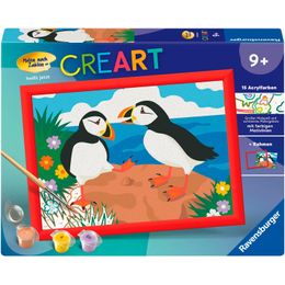 Malen nach Zahlen Ravensburger "CreArt, Papageientaucher", bunt, Malvorlagen, KinderB:24cm H:18cm, Made in Europe, B:24cm H:18cm