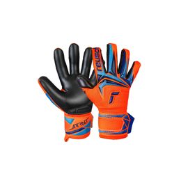 Torwarthandschuhe Reusch "Attrakt Infinity Evolution NC", Damen, Gr. 10, orange, 34% Polyester, 2% Gummi, 25% Latex, 1% Baumwolle, 35% Synthetik, Handschuhe, mit robustem Infinity Belag
