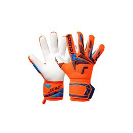 Torwarthandschuhe Reusch "Attrakt Freegel Advance Junior", Kinder, Gr. 7, orange, blau, 34% Polyester, 30% Latex, 24% Gummi, 7% Synthetik, Handschuhe, mit pr&auml;zisem Schnitt