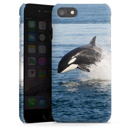 DeinDesign iPhone SE (2022) Handy Premium Case Smartphone Handyh&uuml;lle Schutzh&uuml;lle matt Orca Wale Ocean Premium Case