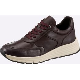 Sneaker Heine, Damen, Gr. 38, burgund, Glattleder, Leder, Schuhe Sneaker