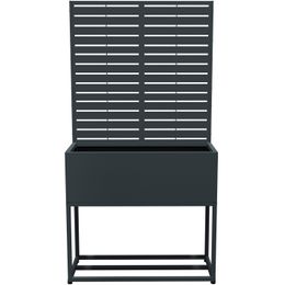 Pflanzk&uuml;bel WESTMANN "Dekora 4", anthrazit, B:90cm H:174cm T:42,5cm, Stahl, Pflanzgef&auml;&szlig;e, Pflanzk&uuml;bel, BxTxH: 90x42,5x174 cm, mit Rankgitter