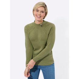 Stehkragenpullover Classic Basics "Stehkragen-Pullover", Damen, Gr. 54, schilf, 100% Polyacryl, unifarben, Pullover Stehkragenpullover