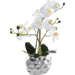 Kunstpflanze OTTO HOME "Orchidee, inklusive &Uuml;bertopf aus Keramik in schwarz oder silberfarben", bunt (wei&szlig;, silberfarben), B:13cm H:38cm T:6,5cm, Keramik, Kunststoff, Polyester, Kunstpflanzen, Kunstpflanze, Kunstorchidee, BESTSELLER, 38 oder 55cm hoch