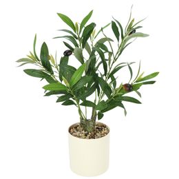 Kunstpflanze I.GE.A. "K&uuml;nstlicher Olivenbaum mit schwarzen Oliven im Topf", gr&uuml;n, B:25cm H:46cm T:22cm, Polyester, Kunstpflanzen, Kunstpflanze, 46cm Kunstpflanze &Ouml;lbaum Baum Kunstbaum Olivenpflanze Dekopflanze