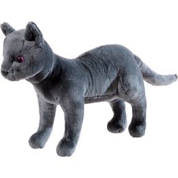 Kuscheltier Heunec "Die Schule der Magischen Tiere, Katze Karajan 30 cm", grau, Pl&uuml;schfiguren, Kinder, Kuscheltier