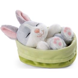 Kuscheltier Nici "Sleeping Pets GREEN, Hase 12 cm", grau (hase im k&ouml;rbchen, 12 cm, grau), Pl&uuml;schfiguren, KinderB:8cm H:8cm L:12cm, Pl&uuml;sch, Polyester, Kuscheltier, schlafend im K&ouml;rbchen, B:8cm H:8cm L:12cm