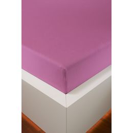 Spannbettlaken bellana "bellana Melone, 100% Baumwolle, Jersey, b&uuml;gelfrei", pink, L:200cm, Mako-Jersey, Obermaterial: 100% Baumwolle, Bettlaken, Spannbettlaken, reine Baumwolle, Spannbetttuch f&uuml;r Matratzen bis 25cm H&ouml;he