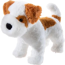 Kuscheltier Heunec "Misanimo, Hund Terrier", braun (wei&szlig;, braun), Pl&uuml;schfiguren, KinderH:25cm, Kuscheltier, H:25cm