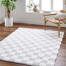 Hochflor-Teppich LIVABLISS "DEWAS", wei&szlig; und grau, B:160cm H:63mm L:220cm, Kunstfaser, Teppiche