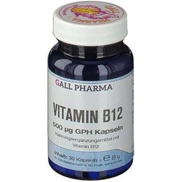 Hecht-Pharma Vitamin B12 500 &mu;g Gph Kapseln 180 St