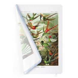 Bilderwelten Wechselbild Vintage Lehrtafel Kolibris