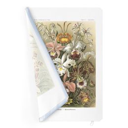 Bilderwelten Wechselbild Vintage Lehrtafel Orchidee