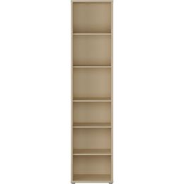 Mehrzweckregal FORTE "Alice Springs", beige (buttergelb), B:49,8cm H:214,3cm T:34,9cm, Holzwerkstoff, Regale, Mehrzweckregal, diverse H&ouml;hen, Breiten, Dekore, Einlegeb&ouml;den variabel