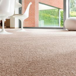 Teppichboden ANDIAMO "Rubinoy, Schlinge, Gesamth&ouml;he 8,5 mm, Luxusklasse LC2", braun (braun,beige), B:400cm L:300cm, Kunstfaser, Teppiche, Breite 400 cm oder 500 cm, Wohnzimmer, strapazierf&auml;hig & robust