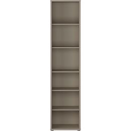 Mehrzweckregal FORTE "Alice Springs", beige (taupe), B:49,8cm H:214,3cm T:34,9cm, Holzwerkstoff, Regale, Mehrzweckregal, diverse H&ouml;hen, Breiten, Dekore, Einlegeb&ouml;den variabel