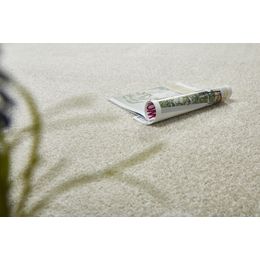 Teppichboden ANDIAMO "Portland, Velours, Gesamth&ouml;he 11 mm, Made in Netherlands", beige (creme), B:400cm L:500cm, Kunstfaser, Teppiche, Uni Farben, Breite 400 cm, Wohnzimmer, strapazierf&auml;hig, pflegeleicht