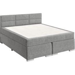 Boxbett FORTE "ONE erh&auml;ltlich in den Breiten 140cm, 160cm & 180cm", hellgrau, B:143cm L:210cm, Komplettbetten