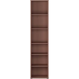 Mehrzweckregal FORTE "Alice Springs", braun (terrakotta), B:49,8cm H:214,3cm T:34,9cm, Holzwerkstoff, Regale, Mehrzweckregal, diverse H&ouml;hen, Breiten, Dekore, Einlegeb&ouml;den variabel