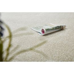 Teppichboden ANDIAMO "Portland, Velours, Gesamth&ouml;he 11 mm, Made in Netherlands", beige (creme), B:400cm L:350cm, Kunstfaser, Teppiche, Uni Farben, Breite 400 cm, Wohnzimmer, strapazierf&auml;hig, pflegeleicht