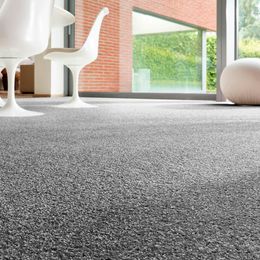 Teppichboden ANDIAMO "Rubinoy, Schlinge, Gesamth&ouml;he 8,5 mm, Luxusklasse LC2", grau (anthrazit), B:500cm L:300cm, Kunstfaser, Teppiche, Breite 400 cm oder 500 cm, Wohnzimmer, strapazierf&auml;hig & robust