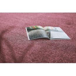 Teppichboden ANDIAMO "Portland, Velours, Gesamth&ouml;he 11 mm, Made in Netherlands", rosa (altrosa), B:400cm L:350cm, Kunstfaser, Teppiche, Uni Farben, Breite 400 cm, Wohnzimmer, strapazierf&auml;hig, pflegeleicht