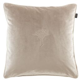 JOOP! Kissenbezug Stage, Beige, Textil, Uni, 38x38 cm, hochwertige Qualit&auml;t, Wohntextilien, Bez&uuml;ge, Kissenbez&uuml;ge