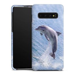 DeinDesign Galaxy S10 Handy Premium Case Smartphone Handyh&uuml;lle Schutzh&uuml;lle matt Wale Ocean Dolphin Premium Case