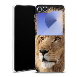 DeinDesign Galaxy Z Flip 6 Handy Hard Case Schutzh&uuml;lle transparent Smartphone Handy H&uuml;lle Jungle Lion Photography Hard Case
