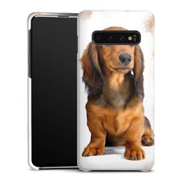DeinDesign Galaxy S10 Handy Premium Case Smartphone Handyh&uuml;lle Schutzh&uuml;lle matt Pet Dachshund Dog Premium Case