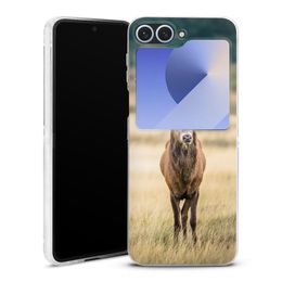DeinDesign Galaxy Z Flip 6 Handy Hard Case Schutzh&uuml;lle transparent Smartphone Handy H&uuml;lle Forrest Meadow Deer Hard Case