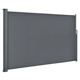 Juskys Seitenmarkise, Grau, Kunststoff, 300x160x300 cm, Sonnen- & Sichtschutz, Markisen