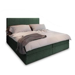 Masseno Boxbett, Gr&uuml;n, Holz, 160x200 cm, Schlafzimmer, Betten, Boxspringbetten