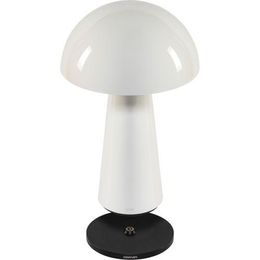 Century LED Tischlampe COCO wei&szlig; 1,5W 2700K 100 Lumen Dimm. IP44
