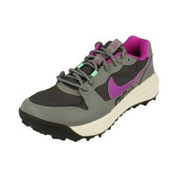 Nike Acg Lowcate Herren Turnschuhe Grau