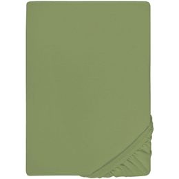 Spannbettlaken Biberna "THEA Baumwoll-Jersey mit Elasthan, 160 g/m&sup2;", braun (fichte), 1 Stk., Jersey-Elasthan, 140-160x200-220 25cm, Jersey-Elasthan, Obermaterial: 97% Baumwolle, 3% Elasthan, Bettlaken, Spannbettlaken, Bettlaken f&uuml;r Matratzen bis 25 cm H&ouml;he, pflegeleicht, b&uuml;gelfrei