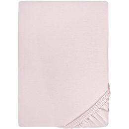 Spannbettlaken Biberna "THEA Baumwoll-Jersey mit Elasthan, 160 g/m&sup2;", rosa (rose), 1 Stk., Jersey-Elasthan, 140-160x200-220 25cm, Jersey-Elasthan, Obermaterial: 97% Baumwolle, 3% Elasthan, Bettlaken, Spannbettlaken, Bettlaken f&uuml;r Matratzen bis 25 cm H&ouml;he, pflegeleicht, b&uuml;gelfrei