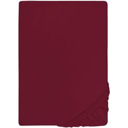 Spannbettlaken Biberna "THEA Baumwoll-Jersey mit Elasthan, 160 g/m&sup2;", rot (burgund), 1 Stk., Jersey-Elasthan, 180-200x200-220 25cm, Jersey-Elasthan, Obermaterial: 97% Baumwolle, 3% Elasthan, Bettlaken, Spannbettlaken, Bettlaken f&uuml;r Matratzen bis 25 cm H&ouml;he, pflegeleicht, b&uuml;gelfrei